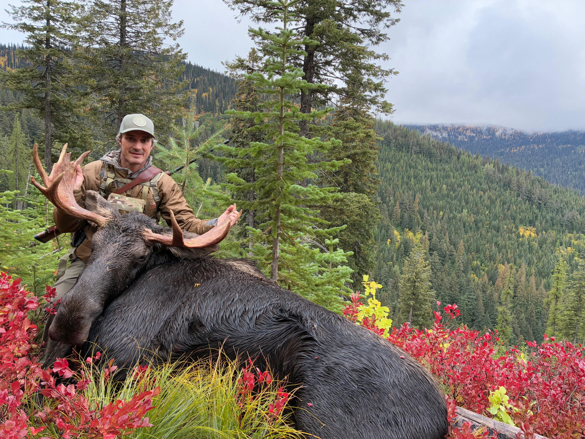 Second Year, Second Chance: My Idaho Shiras Moose Success - Worldwide ...