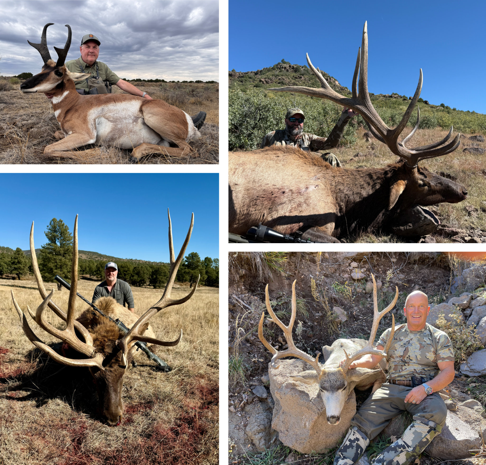 Discover a Sportsman’s Paradise in New Mexico - Worldwide Trophy Adventures