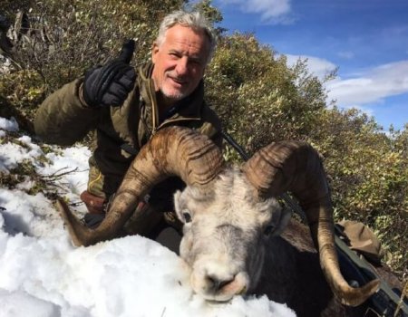 Stone Sheep Hunting Guide In British Columbia