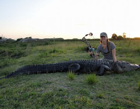Alligator hunting in Florida
