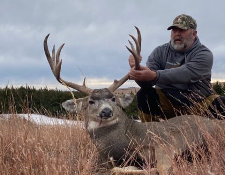 Nebraska Sandhills Bucks