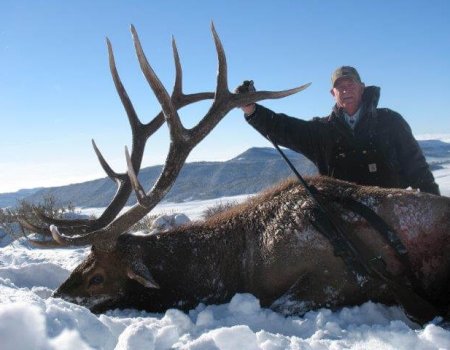Utah's Premier Trophy Elk Hunt During the September Bugle