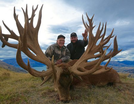 500-600 SCI Red Stag Package