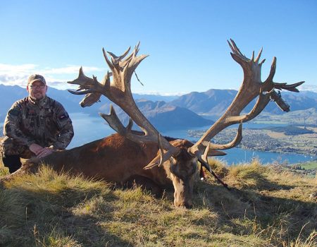 500-600 SCI Red Stag Package