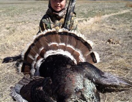 Nebraska's Pine Ridge Merriams Turkey Hunting