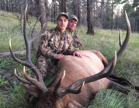 Arizona Elk Hunting Unit 1