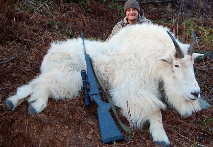 Mountain Goat Trips - Worldwide Trophy Adventures