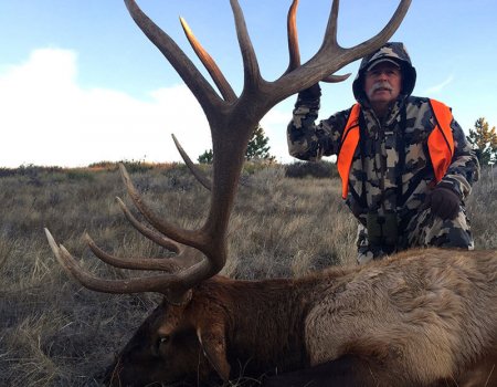 World Class Elk Hunt In Montana