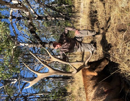 Area 16 Wyoming Elk Hunt