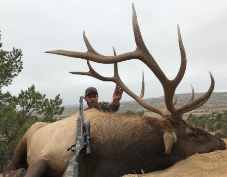 New Mexico Unit 2 Elk Hunt