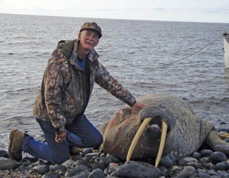 Nunavut, Canada Walrus Hunt