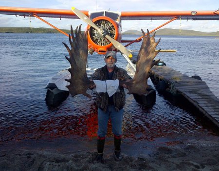 Newfoundland Fly-In Moose Hunting