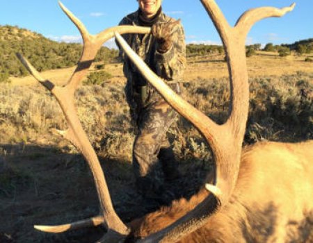 Unit 40 Colorado Elk Hunt