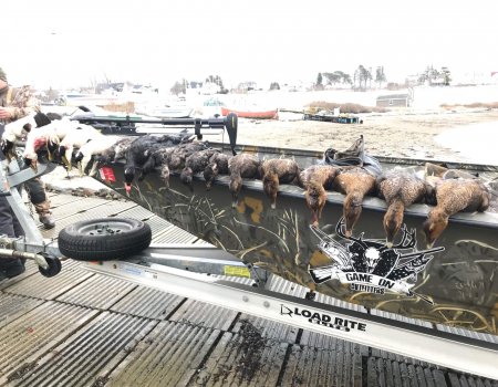 Maine Trophy Sea Duck Hunting