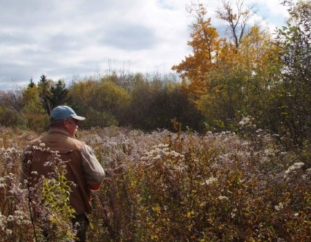Maine Ruffed Grouse & Woodcock Hunts