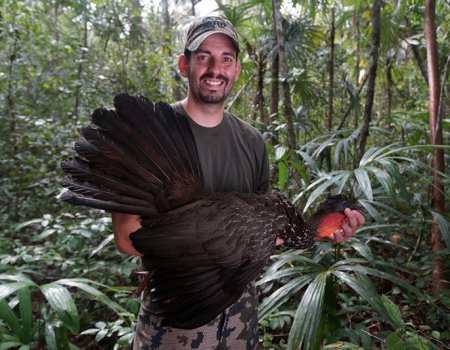 Ocellated Turkey Hunting Outfitter
