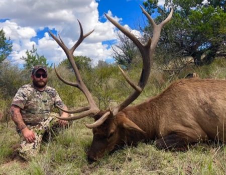 Super Trophy Aoudad Sheep in Texas