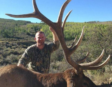 Utah Elk Hunting Outfitter