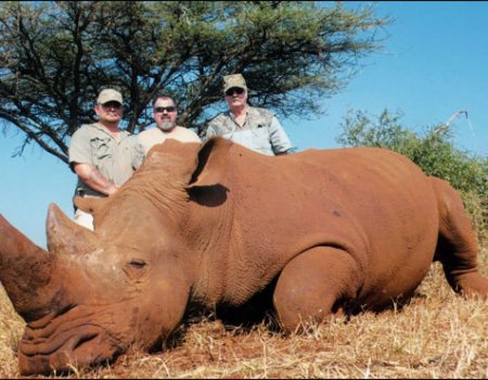 Rhino Hunting In South Africa and Vita-Dart Hunt